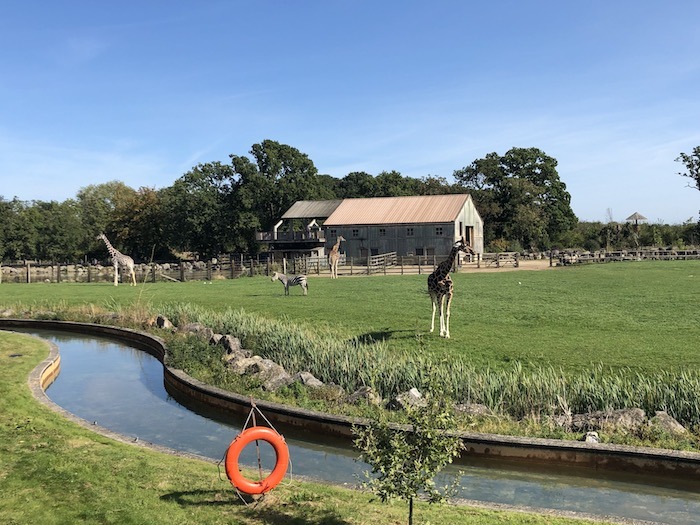 The Flamingo Land Zoo Is Officially Open Today! - Lift Hills and Thrills