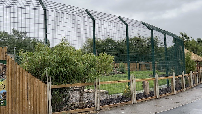 Inside Blackpool Zoo's Big Cat Enclosure NEW For 2023