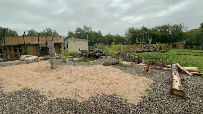 Inside Blackpool Zoo's Big Cat Enclosure NEW For 2023